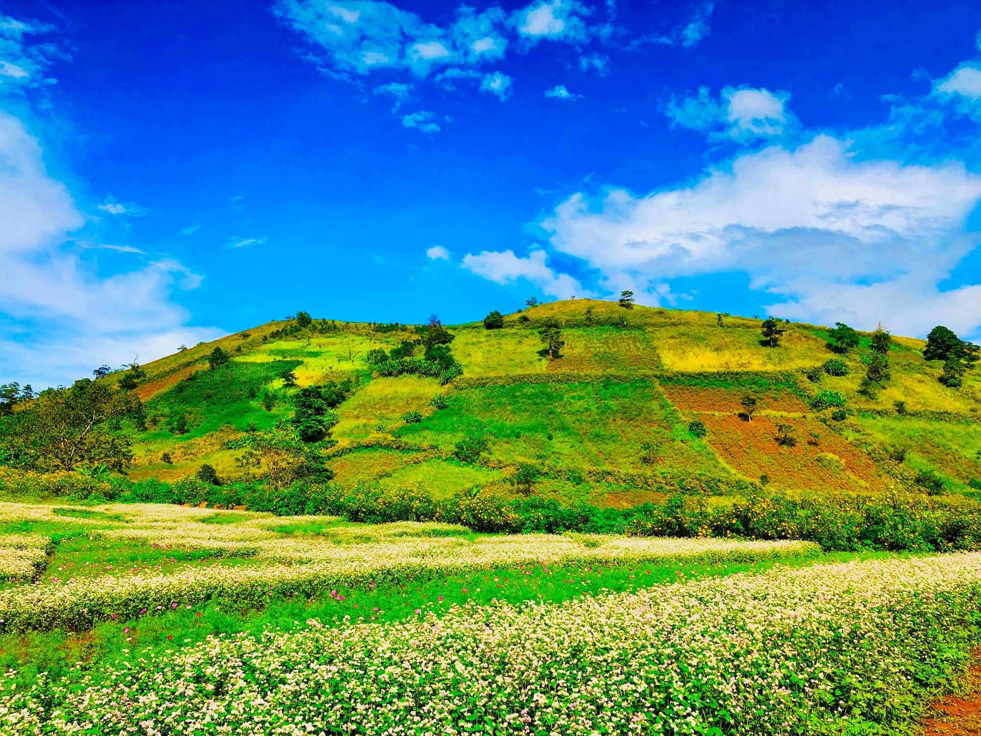 Khám Phá Núi Lửa Chư Đăng Ya – Kiệt Tác Thiên Nhiên Giữa Lòng Tây Nguyên - Trang tin tức du lịch ...